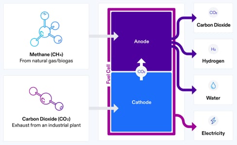 The Basics of FuelCell Energy’s Carbon Capture Platform