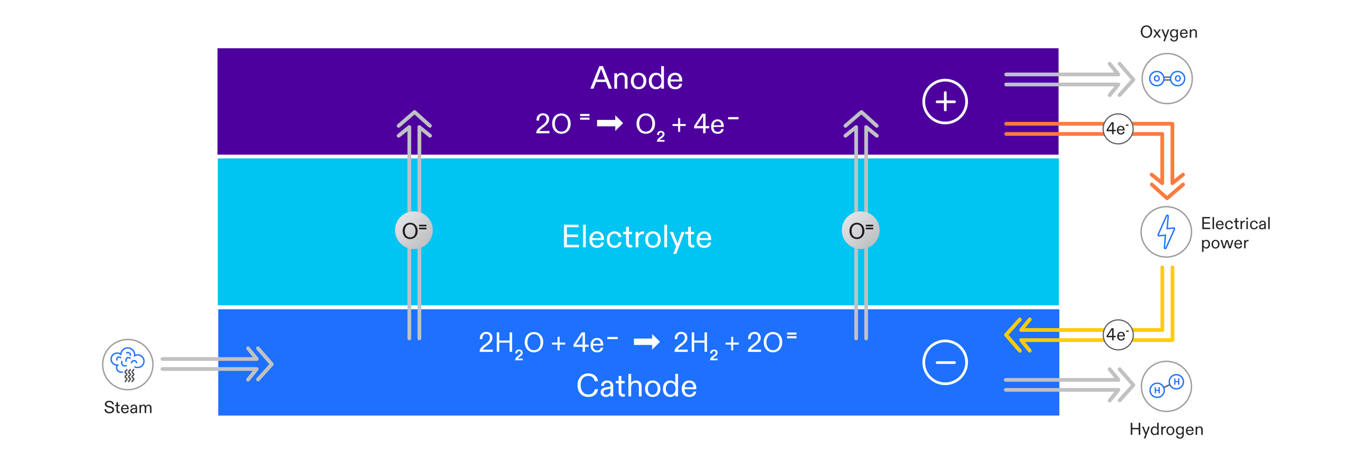 How does an electrolyzer work?